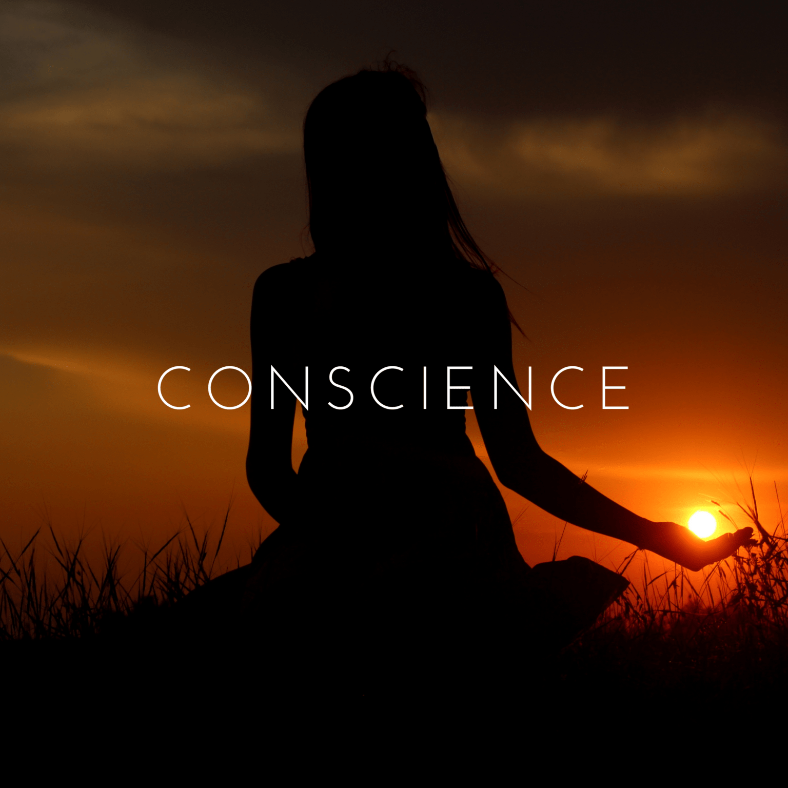 Music Source - The music platform for wellness professionals